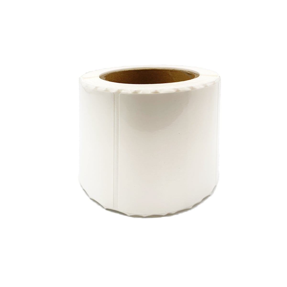 Epson 101.6 x 76.2mm Die Cut Gloss Synthetic Inkjet Label with 76mm ...